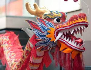 For the Love of Dragons | Chicago Public Library