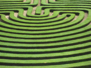 An a-MAZE-ing Path Home | Chicago Public Library