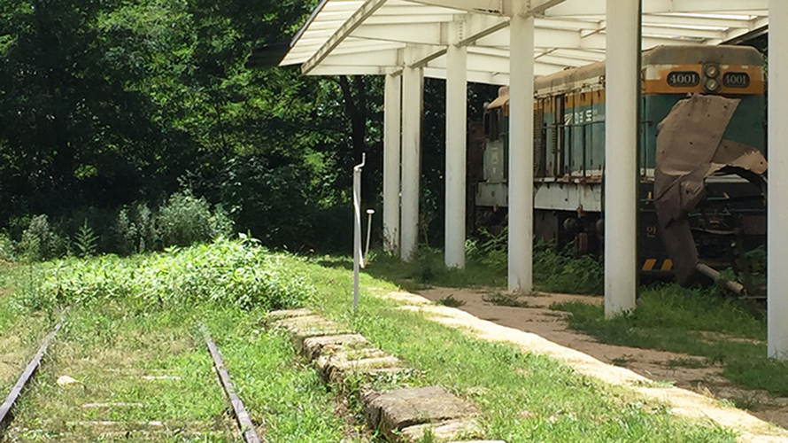 Art Exhibit by Linda Hyong at West Pullman Branch | Chicago Public Library