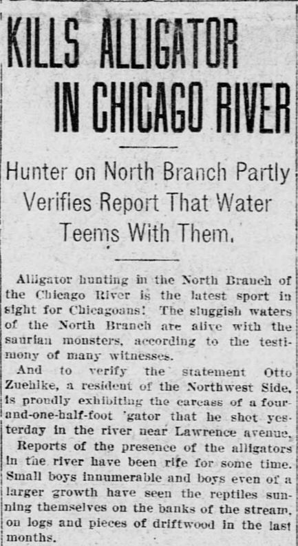 Chance the Snapper Isn’t Chicago’s First Notorious Gator | Chicago ...