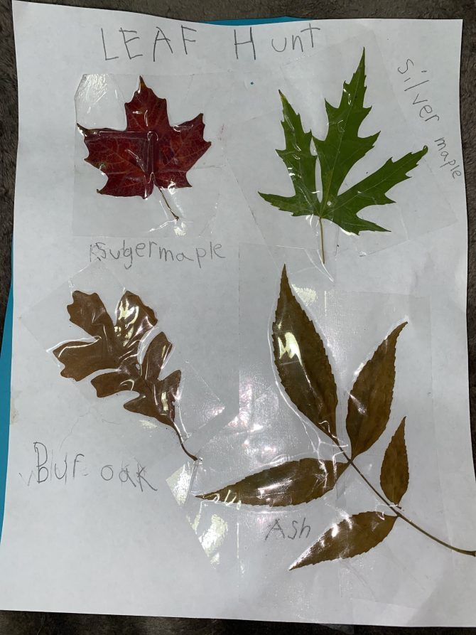 Kids Share Their Creations: Leaf Hunt | Chicago Public Library