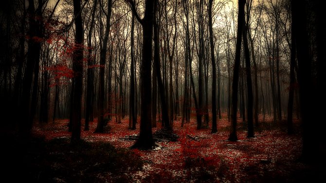 Creepy Red Forest Wallpaper